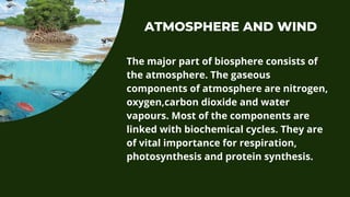 Ecosystem | Comprehensive Presentation | PDF
