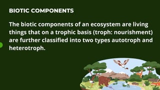 Ecosystem | Comprehensive Presentation | PDF