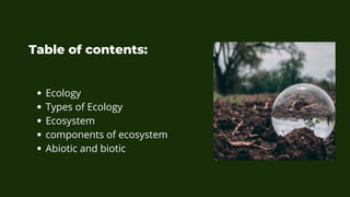 Ecosystem | Comprehensive Presentation | PDF
