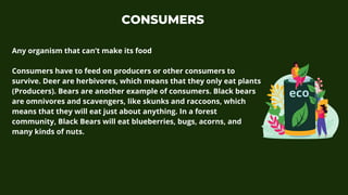 Ecosystem | Comprehensive Presentation | PDF