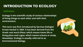 Ecosystem | Comprehensive Presentation | PDF