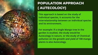 Ecosystem | Comprehensive Presentation | PDF