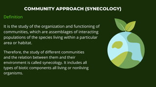 Ecosystem | Comprehensive Presentation | PDF