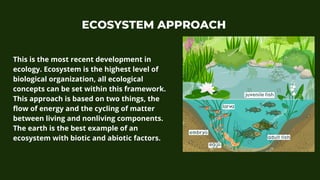 Ecosystem | Comprehensive Presentation | PDF