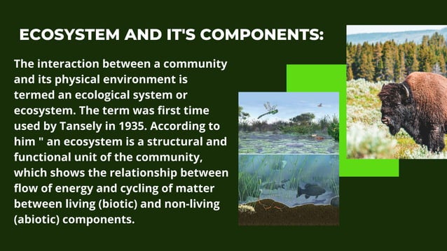 Ecosystem | Comprehensive Presentation | PDF