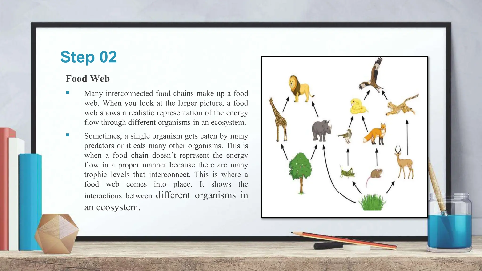 Ecology food chain and food web .pptx