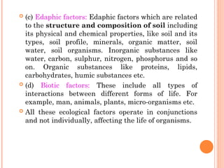 fundamentals of ecology and its importance | PPT