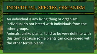 Environmental Engineering - Ecological Sciences | PDF