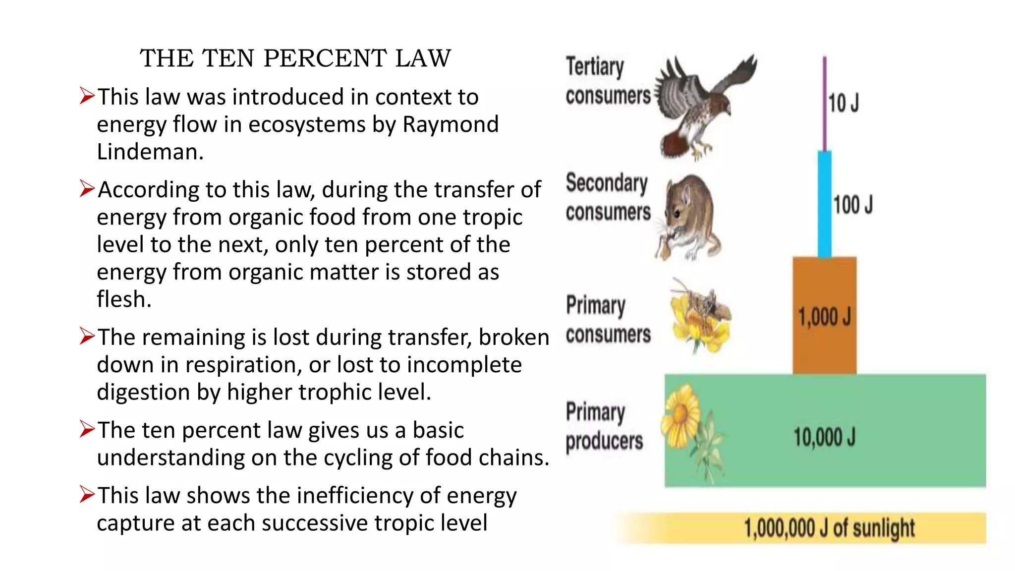 Ecology energy flow pathway in an ecosystem | PPTX