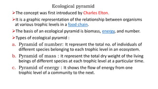 Ecology energy flow pathway in an ecosystem | PPTX