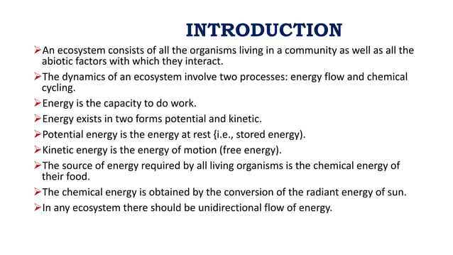 Ecology energy flow pathway in an ecosystem | PPTX | Physics | Science