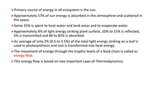 Ecology energy flow pathway in an ecosystem | PPTX