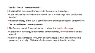Ecology energy flow pathway in an ecosystem | PPTX