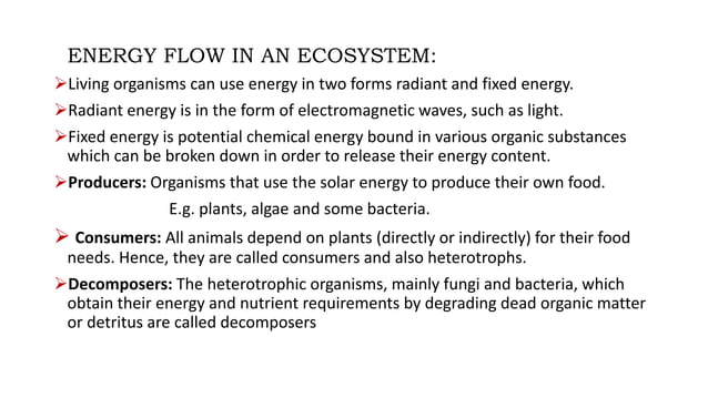 Ecology energy flow pathway in an ecosystem | PPTX | Physics | Science