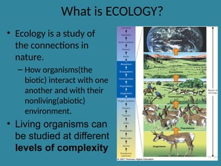 Ecology- ecosytems and organisms ES.pptx