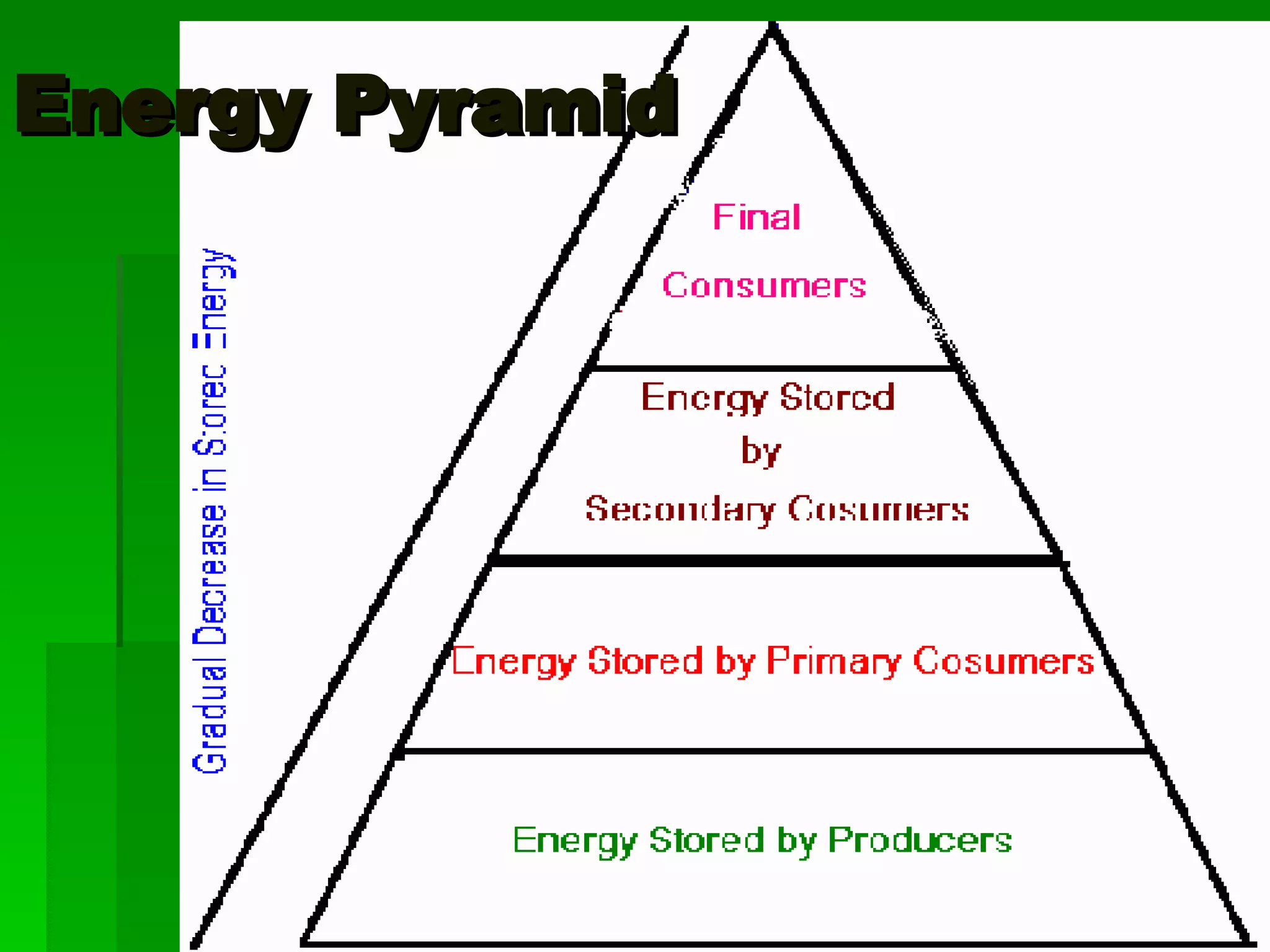 Ecology Pyramids | PPT
