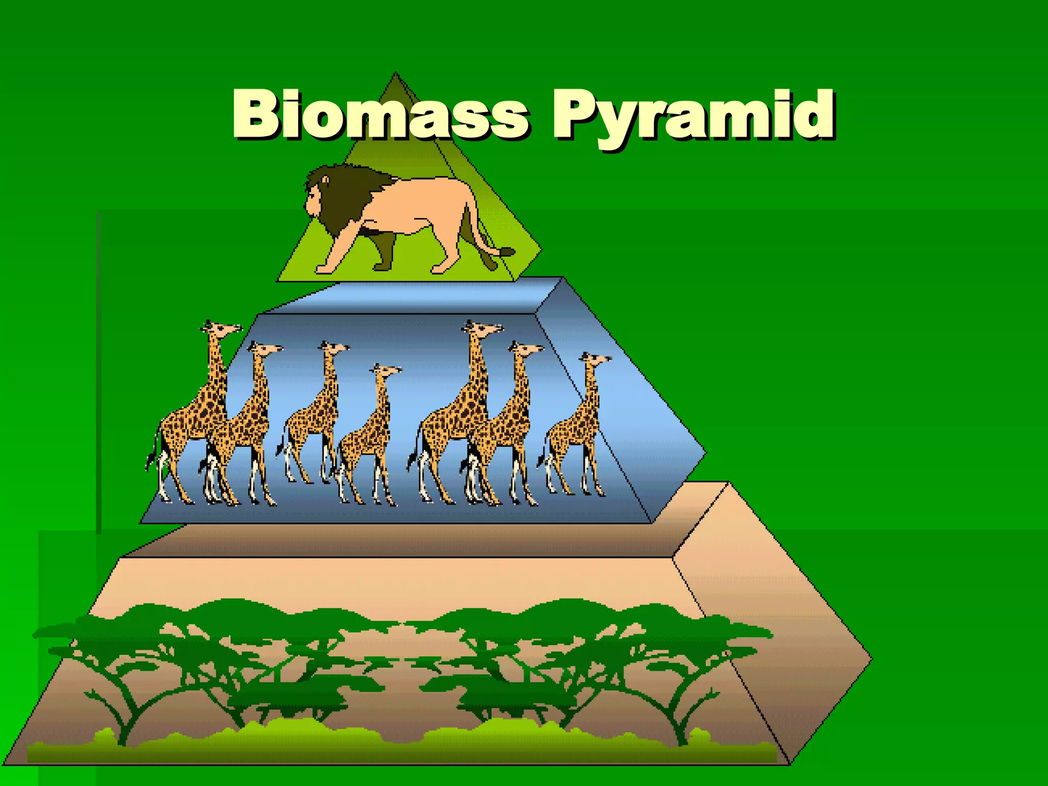 Ecology Pyramids | PPT