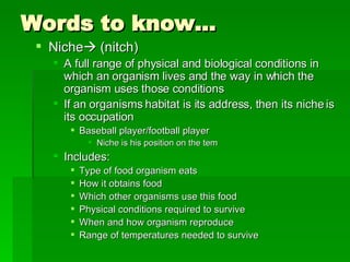 Ecology Pyramids | PPT