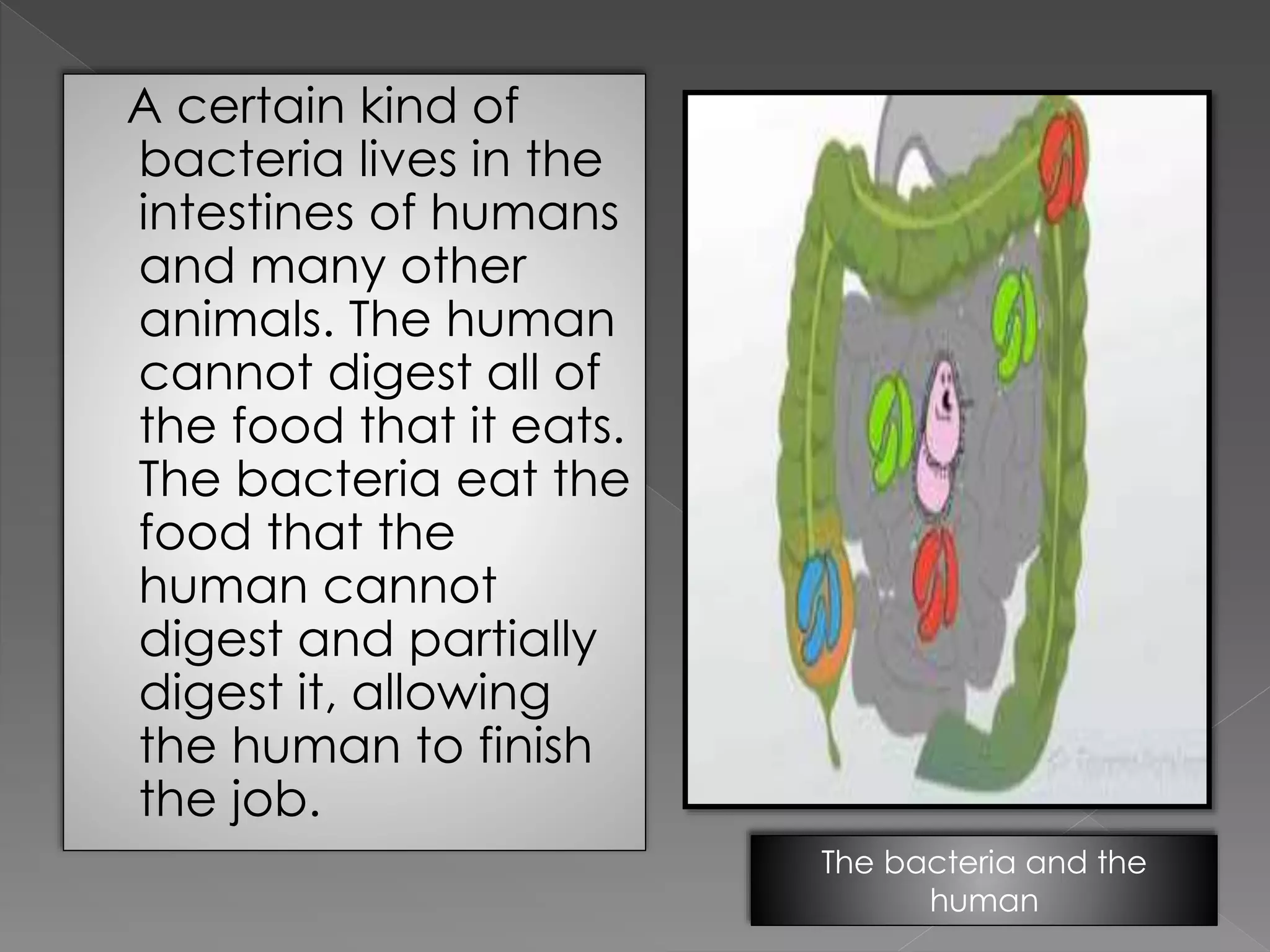 Mutualism and Neutralism | PPTX