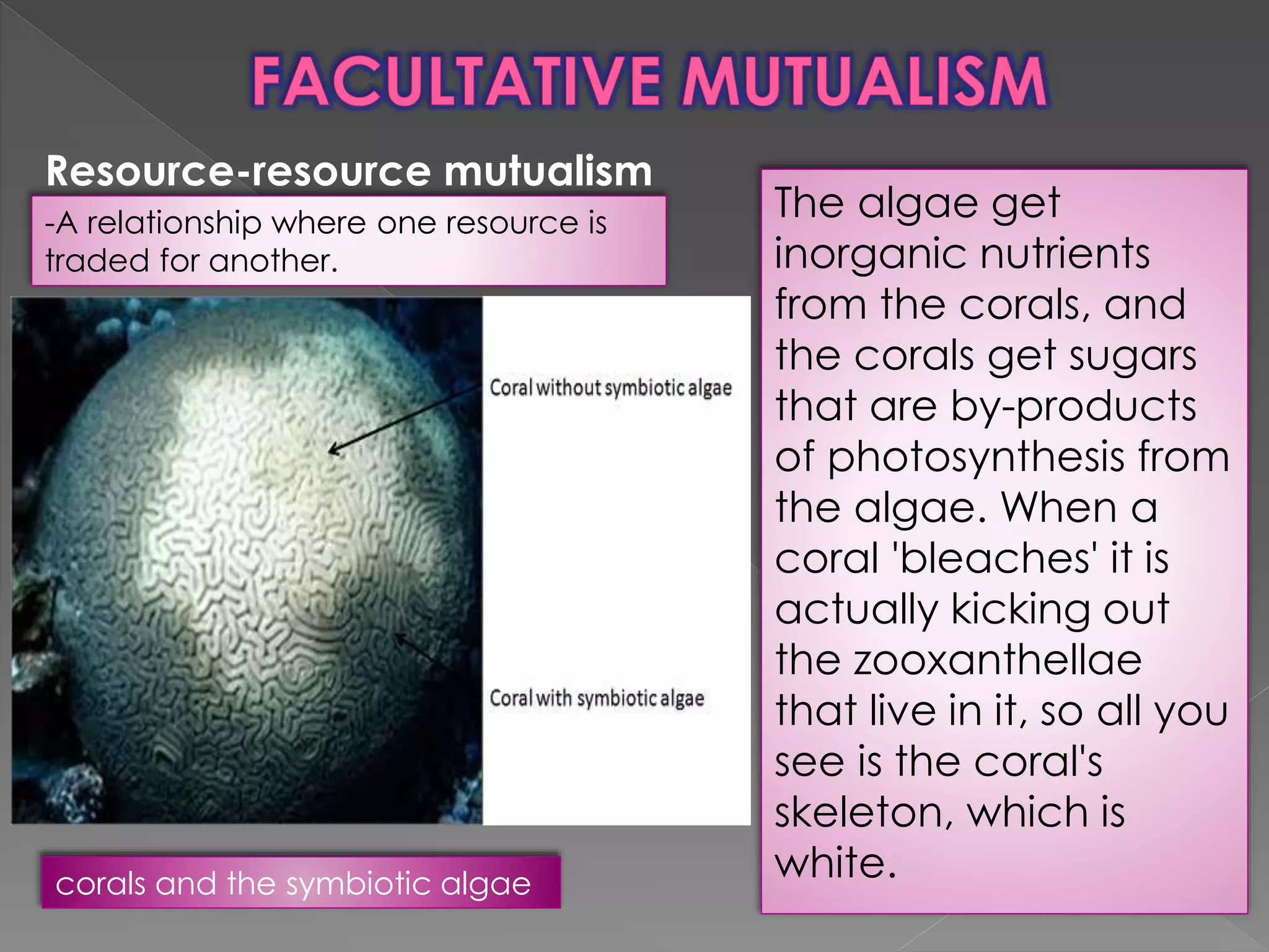 Mutualism and Neutralism | PPTX