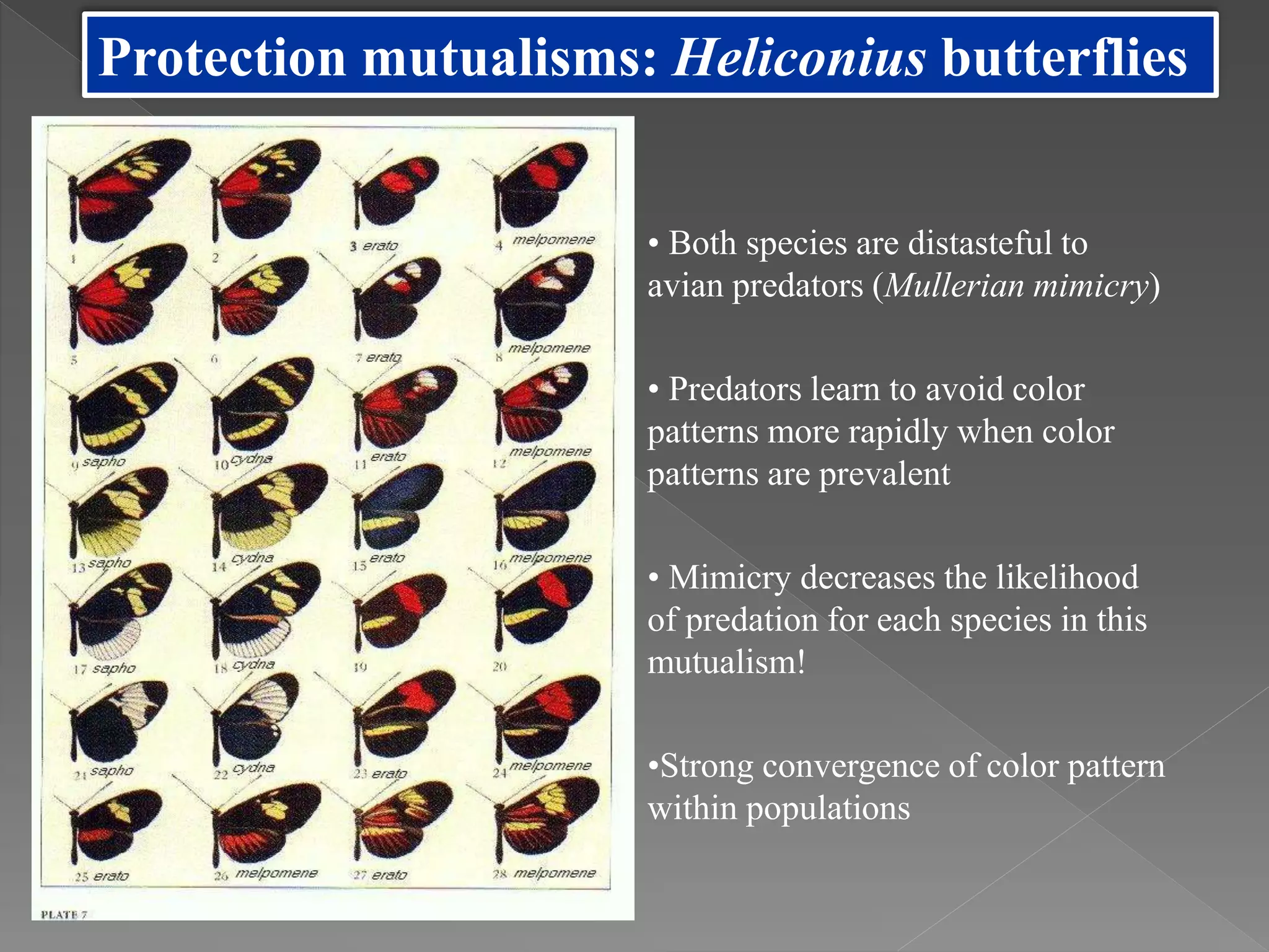 Mutualism and Neutralism | PPTX