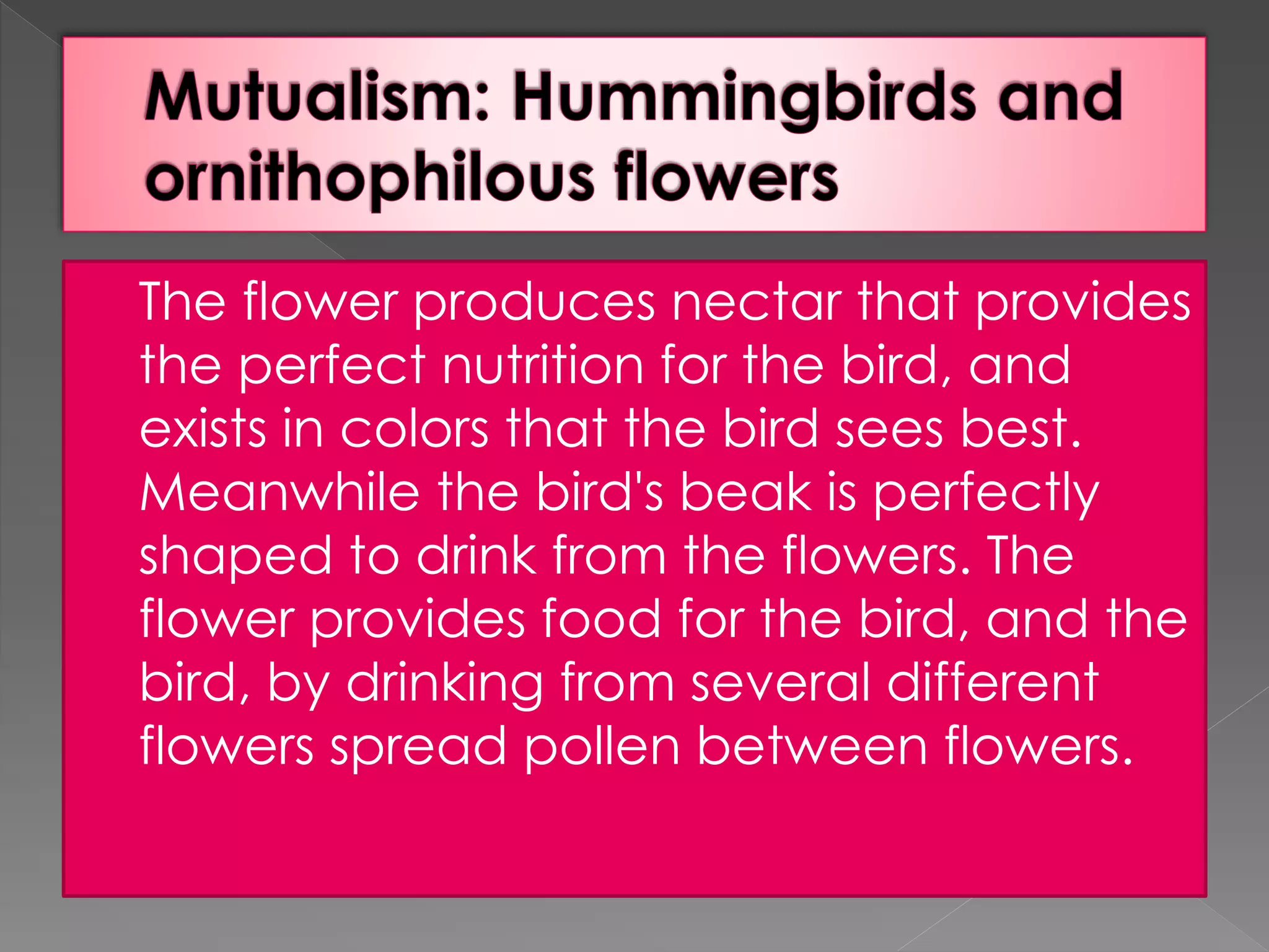 Mutualism and Neutralism | PPTX
