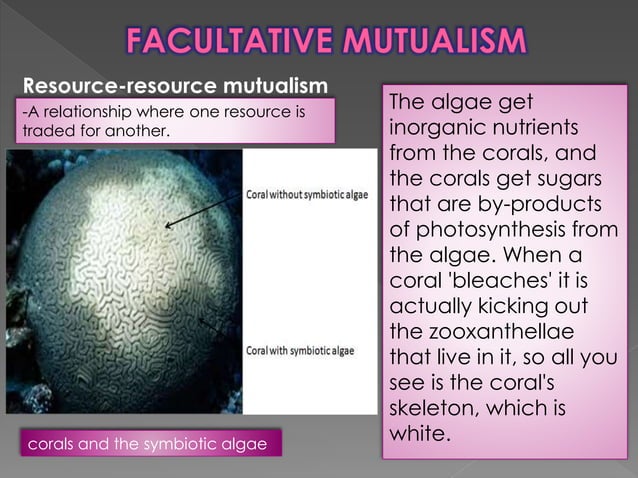 Mutualism and Neutralism | PPTX