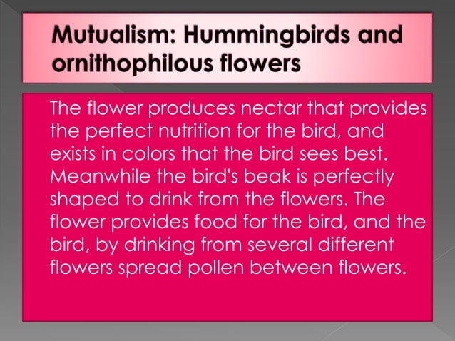 Mutualism and Neutralism | PPTX