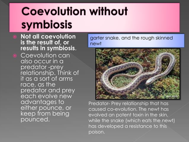 Mutualism and Neutralism | PPTX
