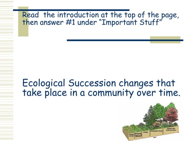 Ecology succession for blog | PPT