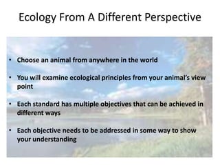 Ecology Through My Eyes | PPT