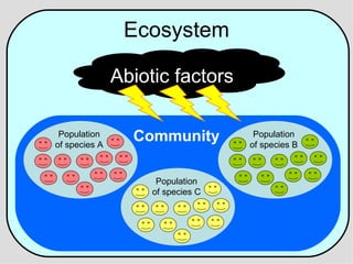 Ecology1 Complete | PPT