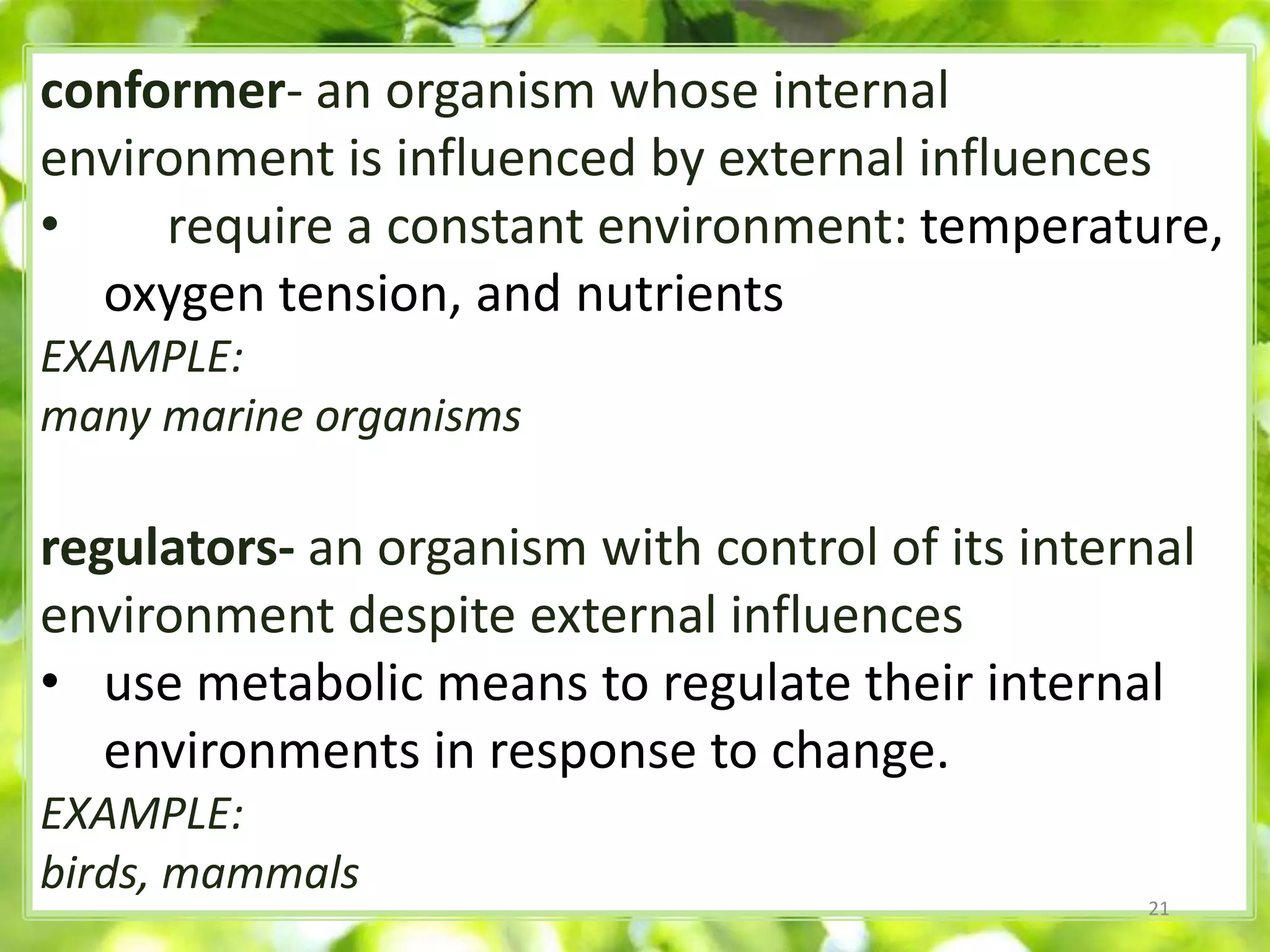 Ecology 1 notes | PPTX