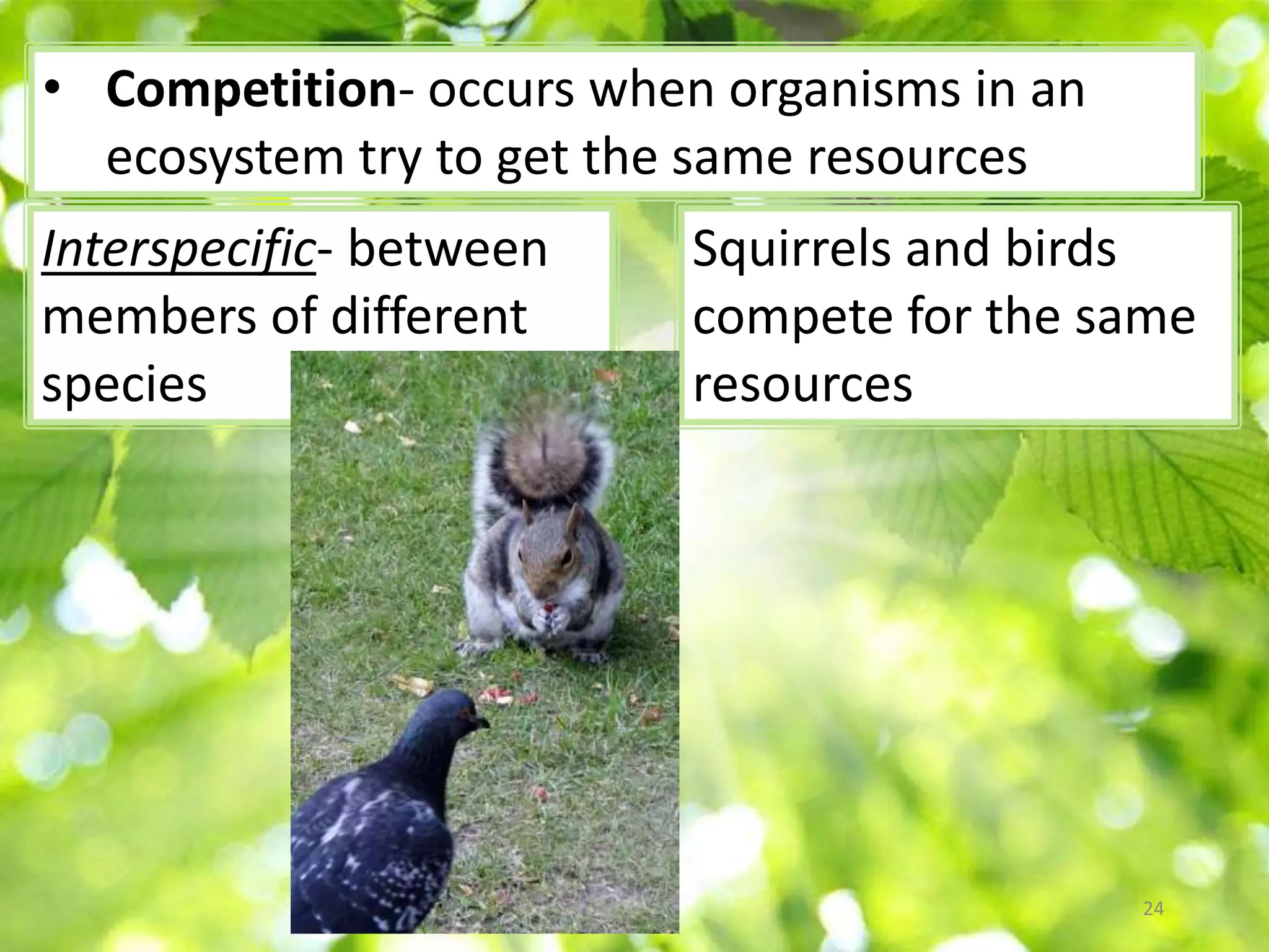 Ecology 1 notes | PPTX