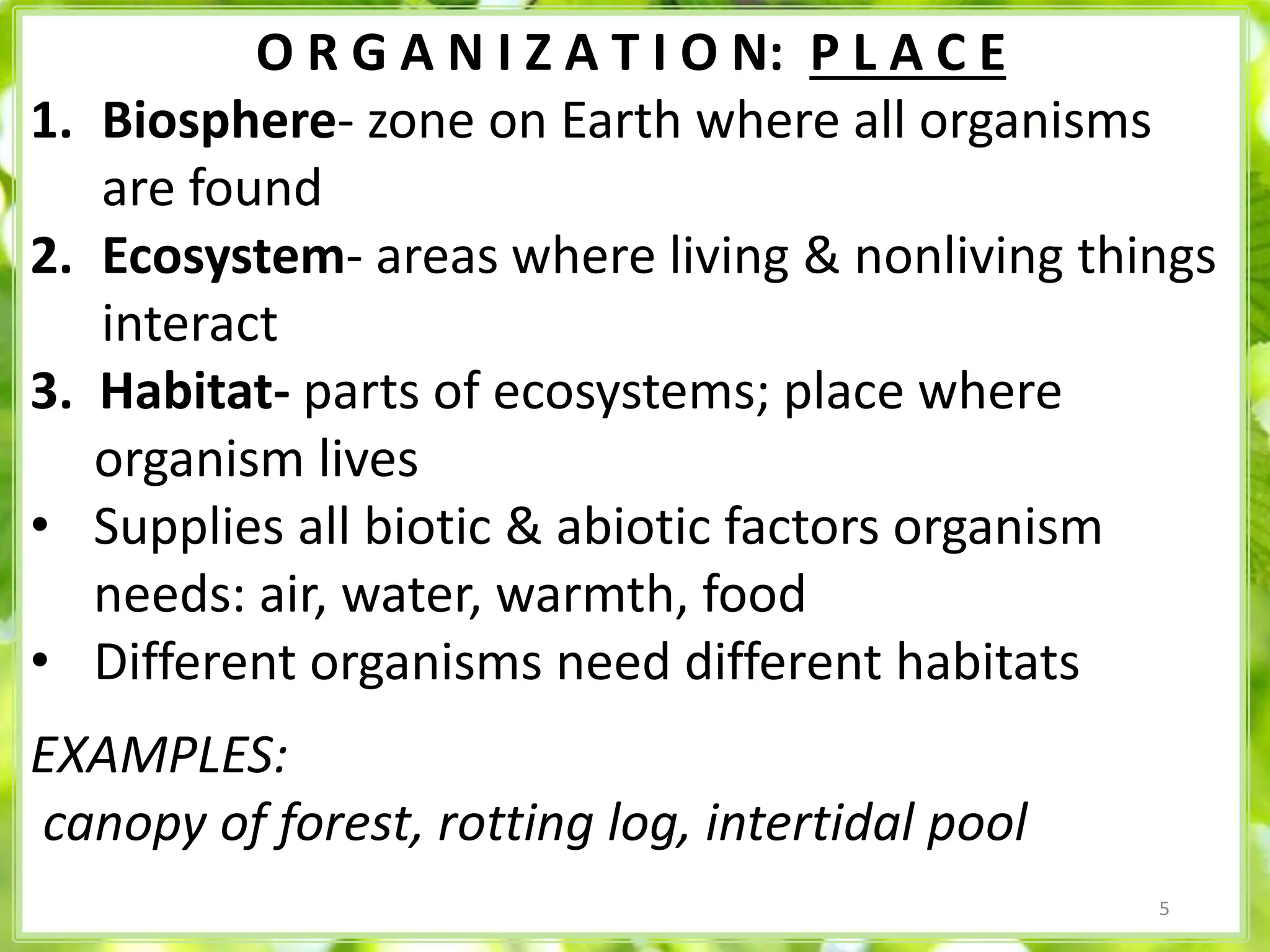 Ecology 1 notes | PPTX