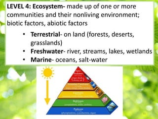 Ecology 1 notes | PPTX