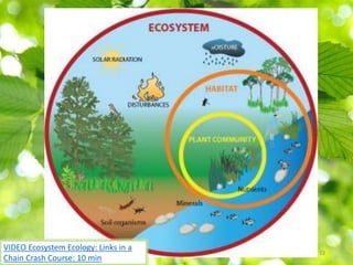 Ecology 1 notes | PPTX