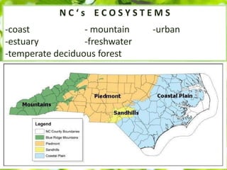 Ecology 1 notes | PPTX