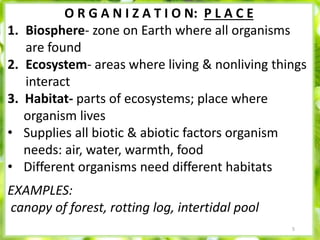 Ecology 1 notes | PPTX