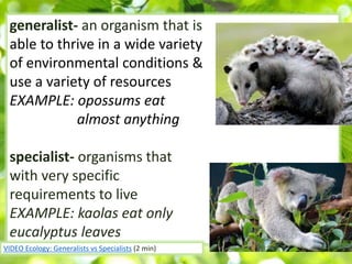 Ecology 1 notes | PPTX