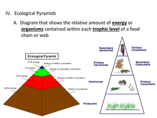 Ecology1_ppt.pptx