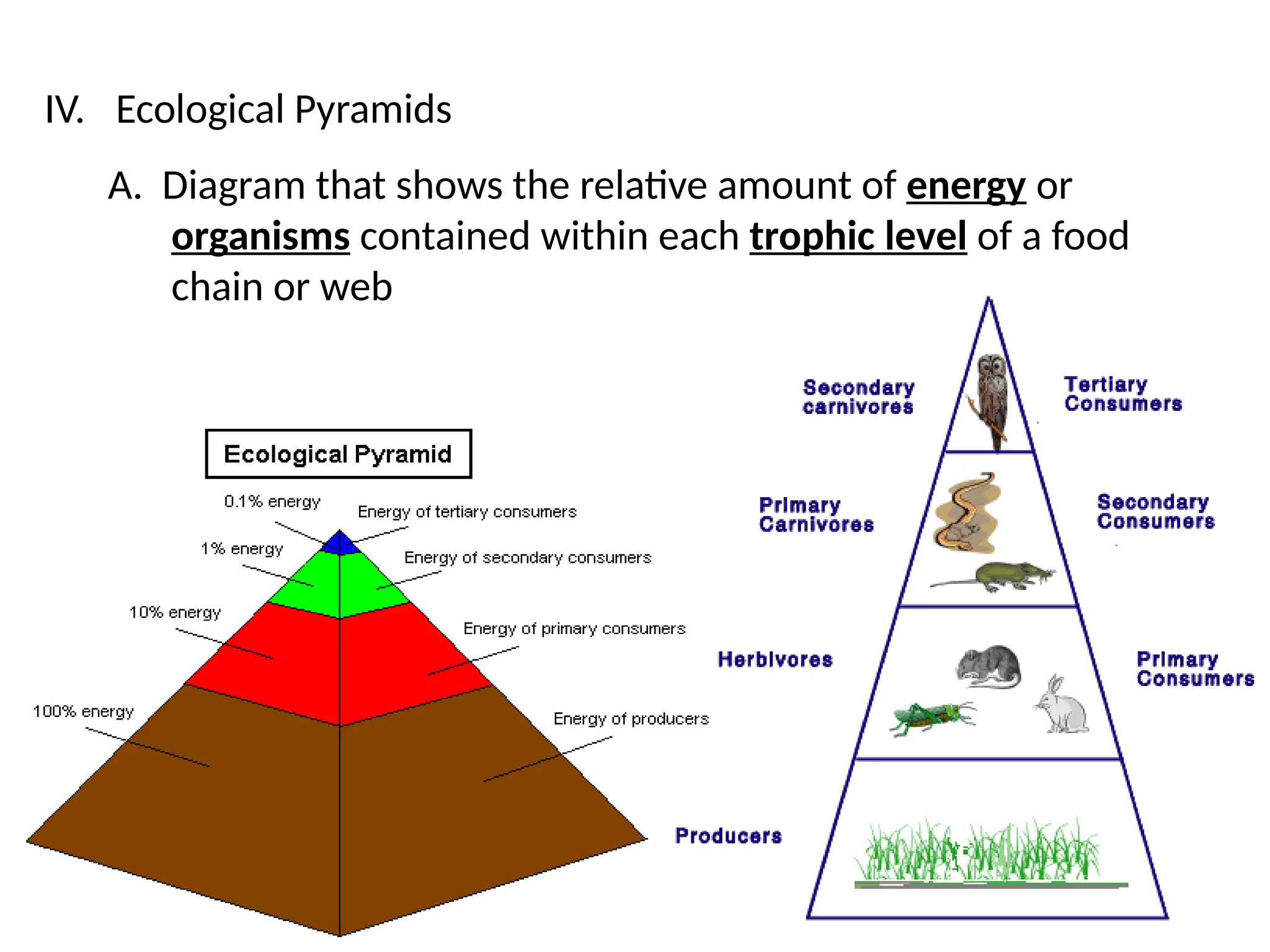 Ecology1343433255325353543545534_ppt.pptx