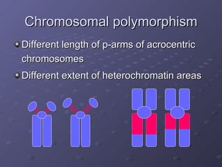 Ecology2 Complete | PPT