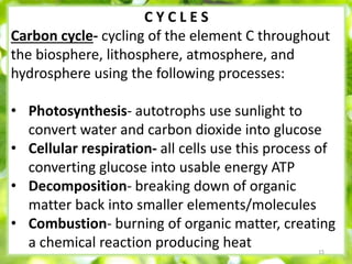 Ecology 2: Energy & Biodiversity NOTES | PPTX