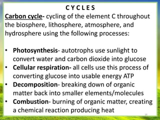Ecology 2: Eneregy & Biodiversity NOTES | PPTX