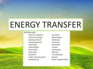 Ecology 2: Eneregy & Biodiversity NOTES | PPTX