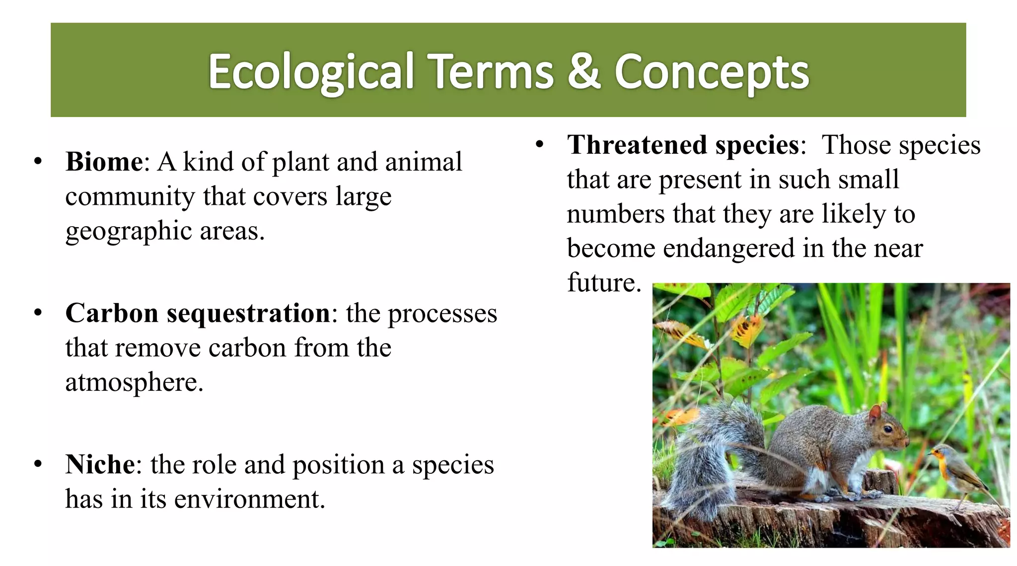 Ecology 407 Organism and their Interaction with their environment | PPTX