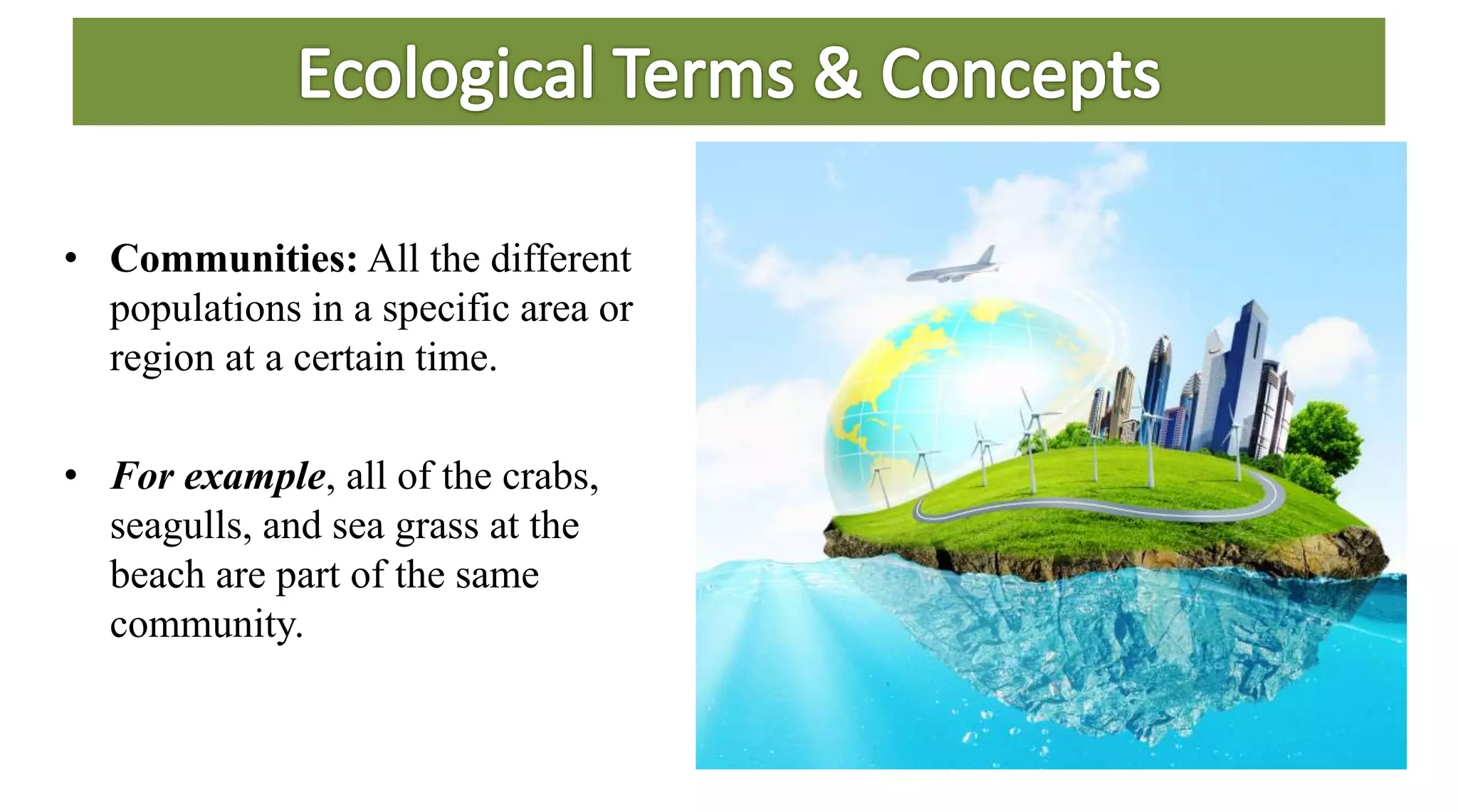 Ecology 407 Organism and their Interaction with their environment | PPTX