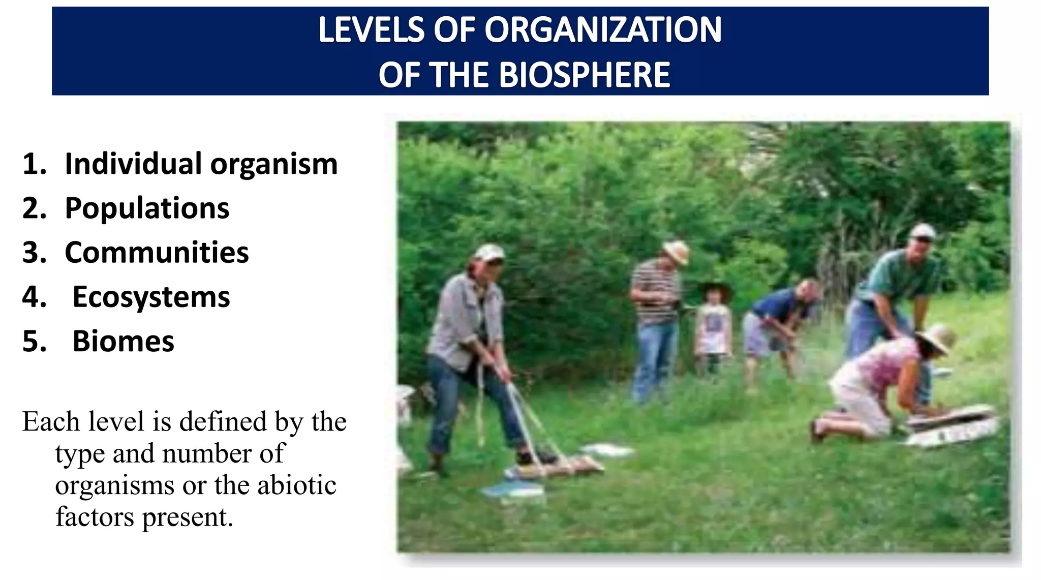 Ecology 407 Organism and their Interaction with their environment | PPTX