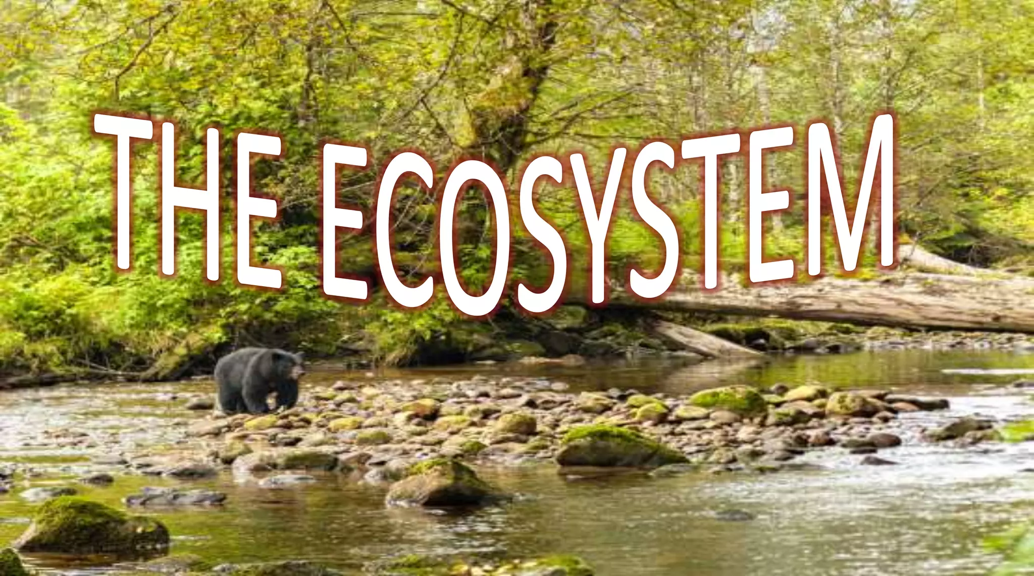 Ecology 407 Organism and their Interaction with their environment | PPTX